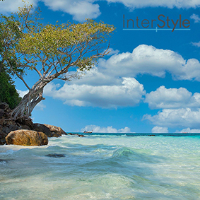 interStyle - 株式会社 インタースタイル